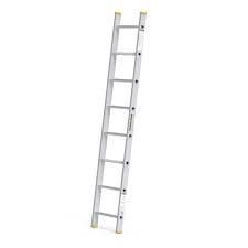 LADDER